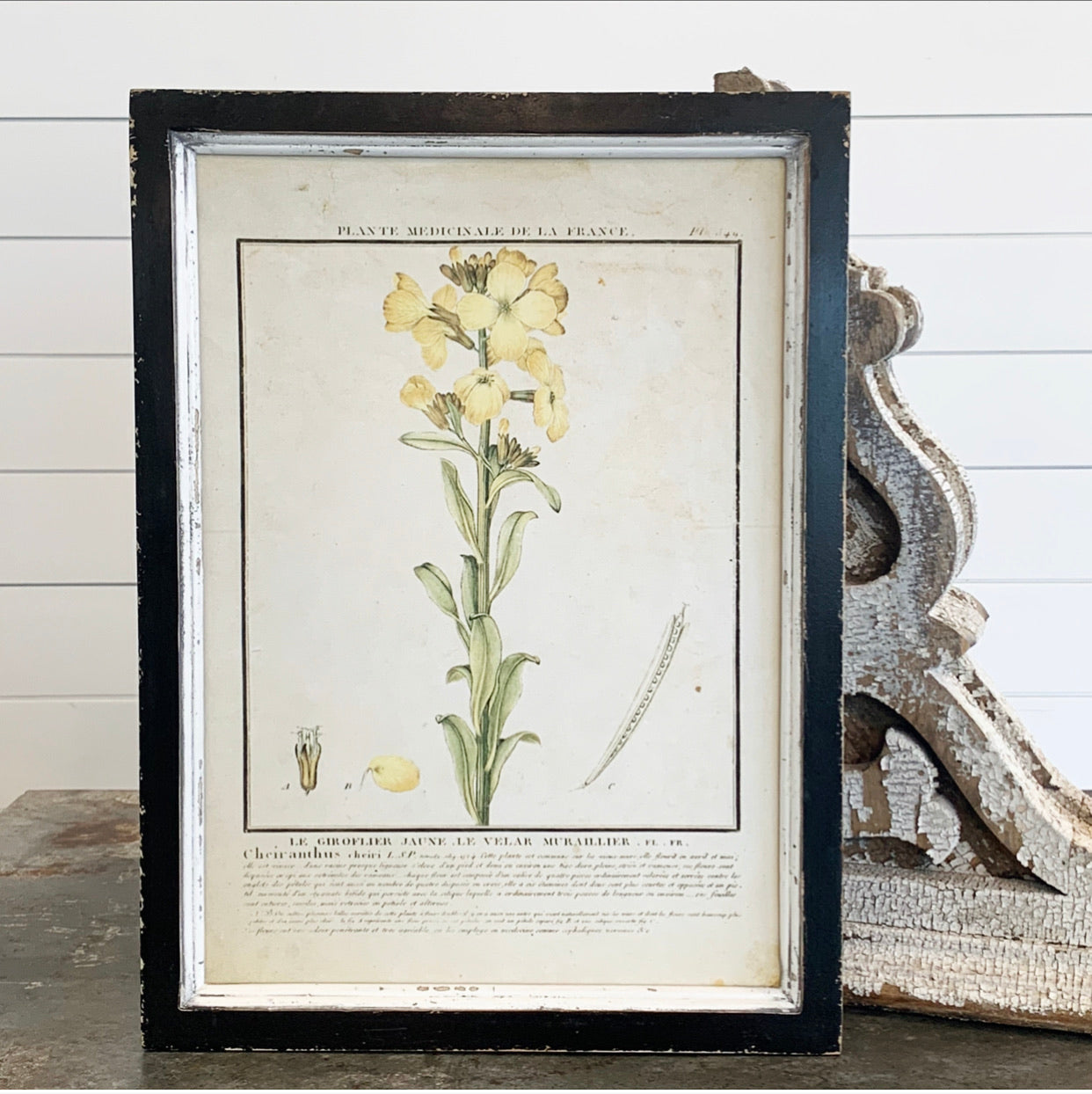 Yellow Botanical Print Collection - 9 Styles - FINAL SALE – Urban Farmgirl